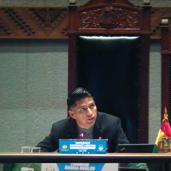 Bolivian Senate unanimously approves “Comprehensive Law for the Right ...