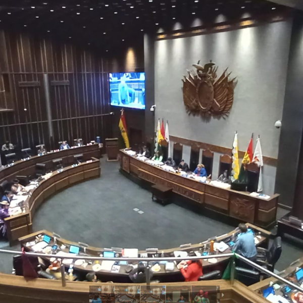 Bolivian Senate unanimously approves “Comprehensive Law for the Right ...